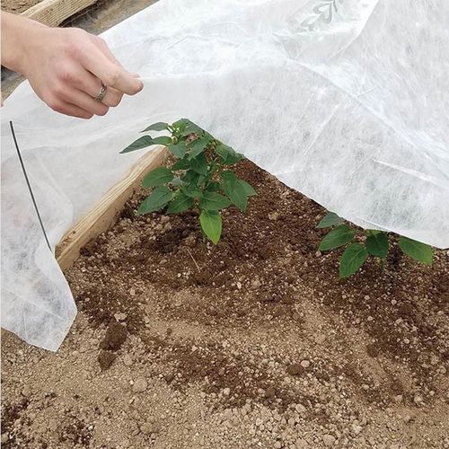 What Is Garden Fleece And How Do I Use It?
