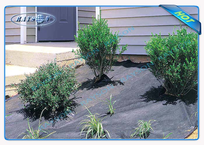 Small Rolls Anti-UV Biodegradable Landscape Fabric , Landscape Ground Cover