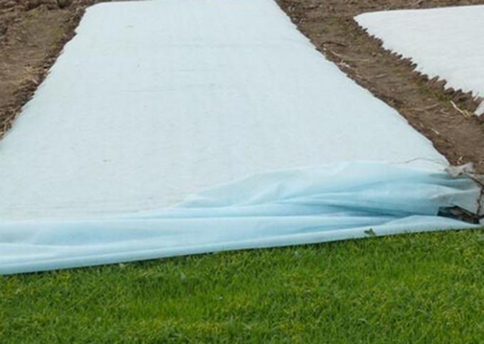 Landscape Black Garden Weed Control Fabric , Polypropylene Plant Protection